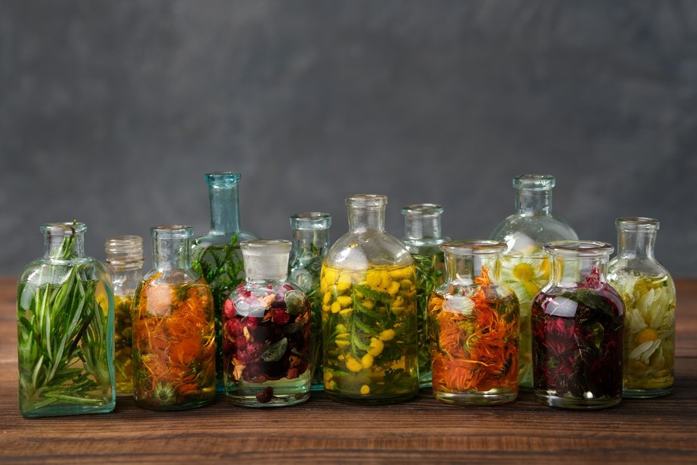Piante officinali: quali sono e quali proprietà possiedono