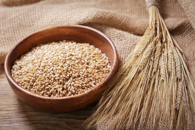 Il caffè d’orzo non è solo l‘alternativa al caffè