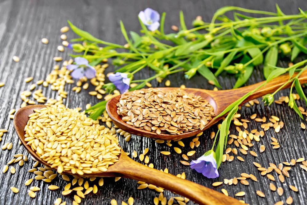 Mucillagine: proprietà e benefici per il benessere naturale