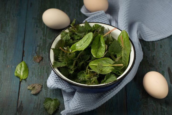 Erba brusca: cos'è, proprietà, dove si trova e come si coltiva