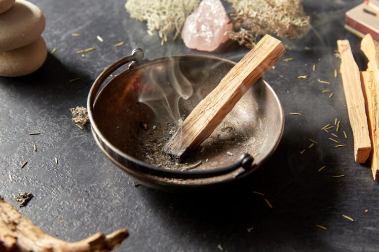 Palo Santo: significato, proprietà e rituale per bruciarlo