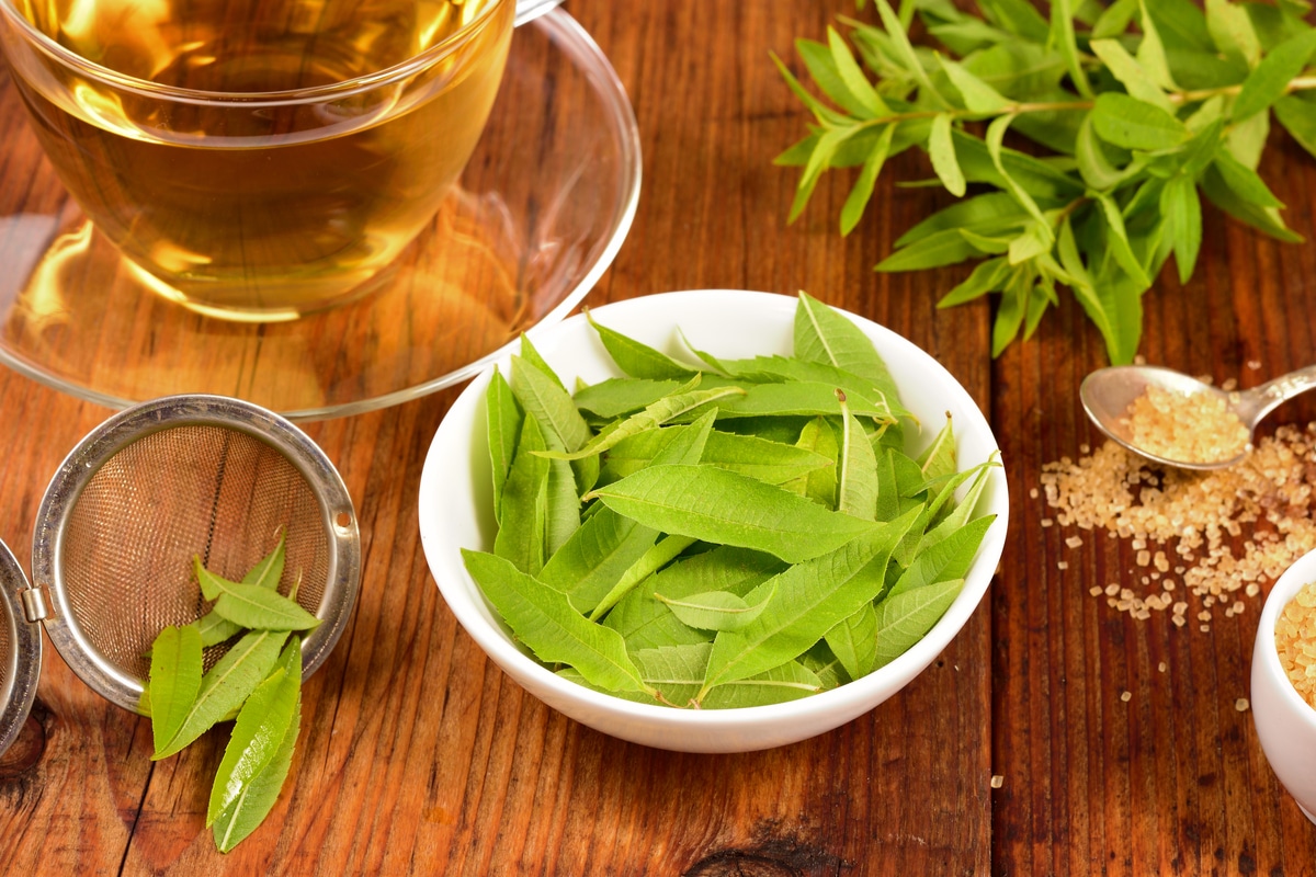 Erba Luigia o Cedrina, a cosa serve, usi in cucina e in fitoterapia