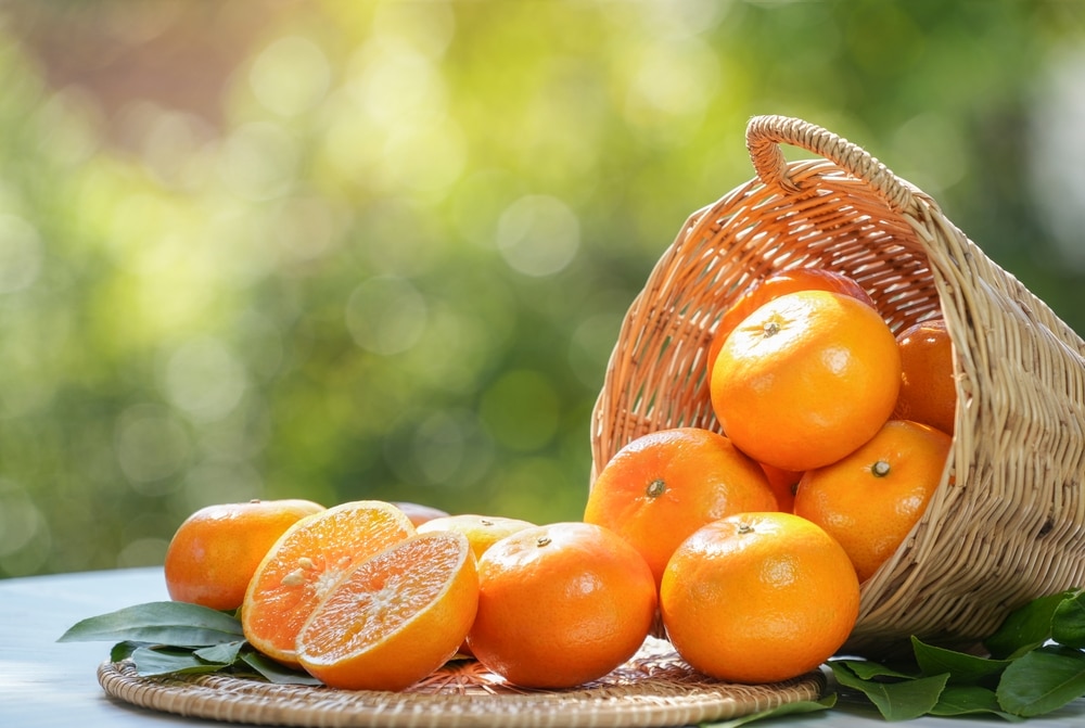 Mandarancio quali sono le differenze dal mandarino?