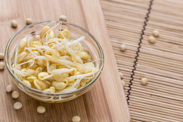 Germogli di soia: proprietà e consigli di utilizzo in cucina