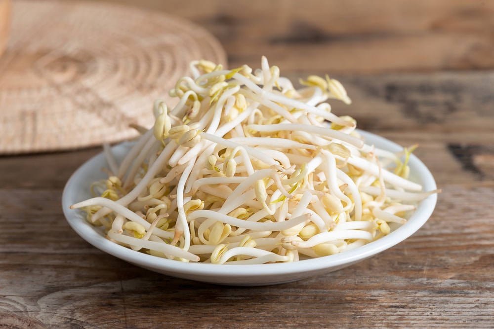 Germogli di soia: proprietà e consigli di utilizzo in cucina