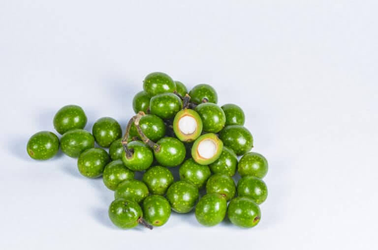 Olio essenziale di litsea: proprietà, benefici e utilizzi