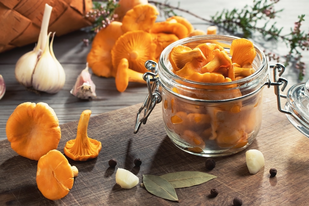 Finferli: caratteristiche, sapore, proprietà e varie ricette