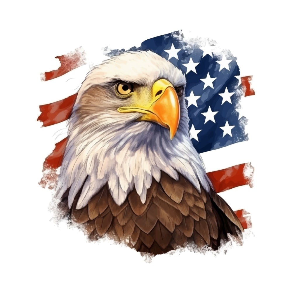 Aquila dalla testa bianca: alla scoperta del simbolo americano