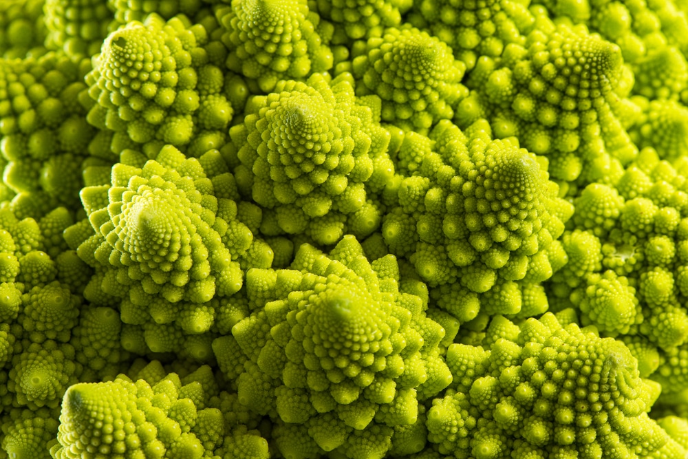 Broccolo romano: proprietà, benefici e varie ricette