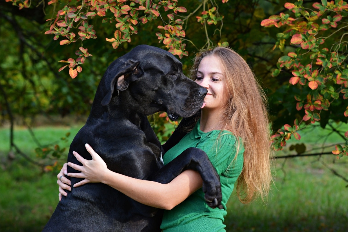 Cane Più Grande Del Mondo Guinness 2024
