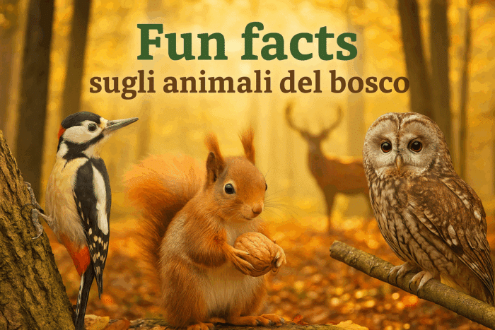 Fun facts sugli animali del bosco che (forse) non conosci