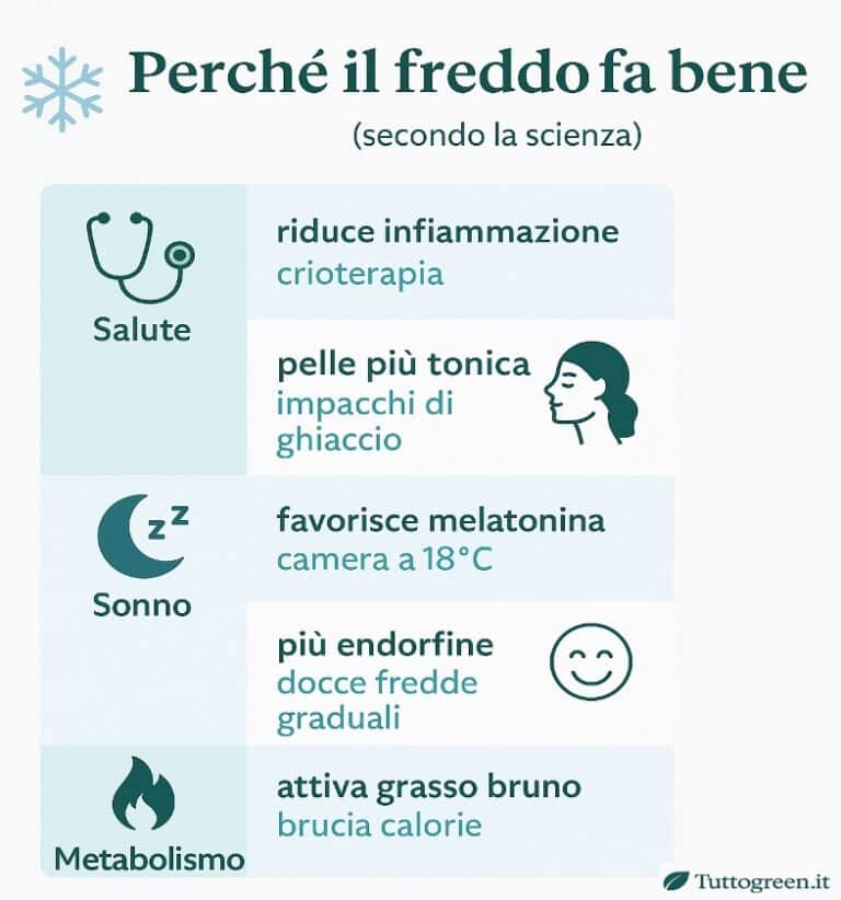Freddo che fa bene: tutti i benefici di ghiaccio, docce fredde e ...